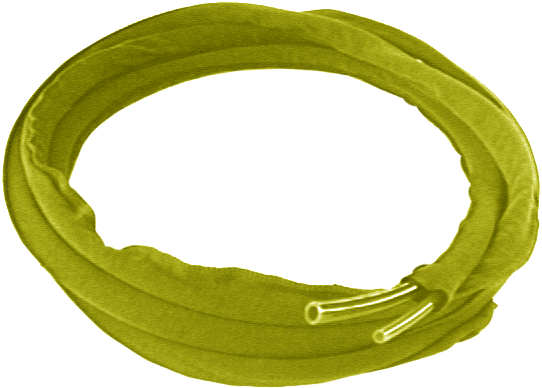 10536 - RSGh Yellow Hose Set with Hole (2 Hole Filling) – FDR Design